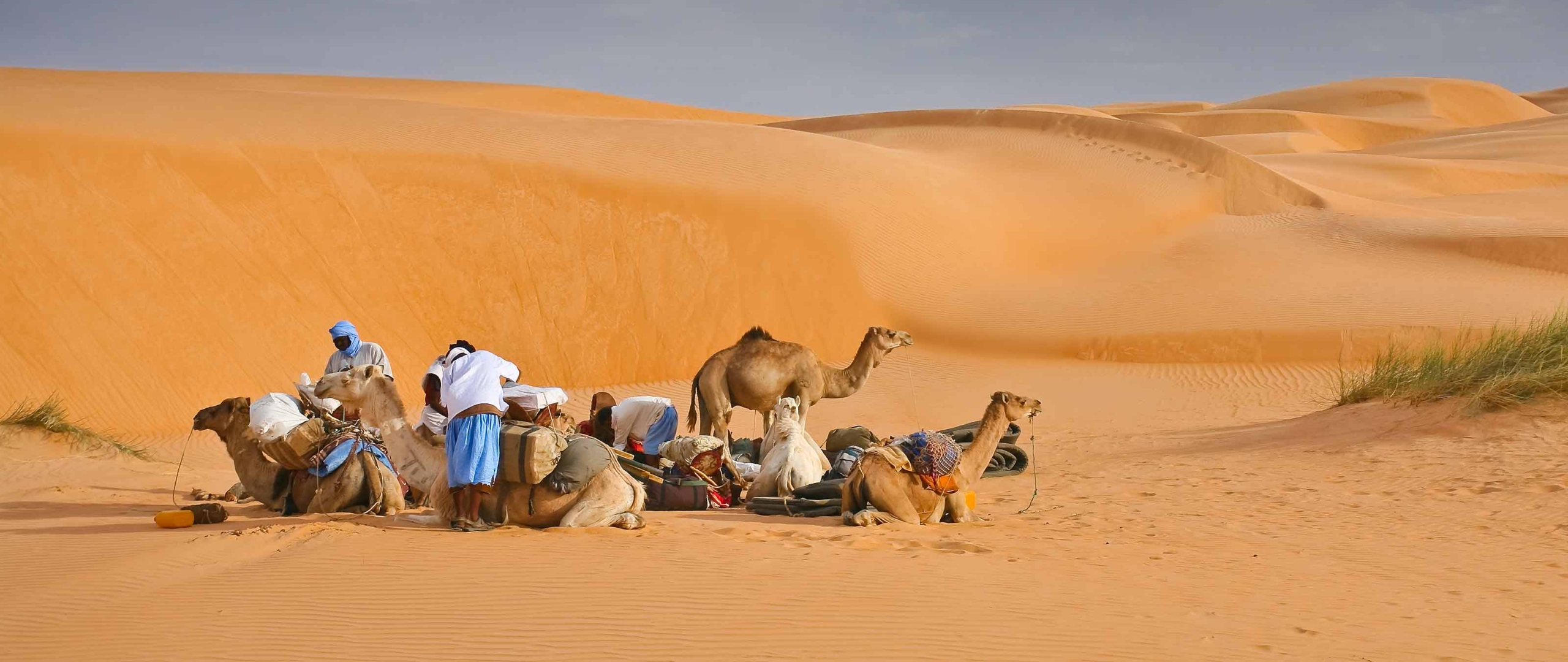 Trekking & Wandern Mauretanien: Karawanenreise durch die Sahara